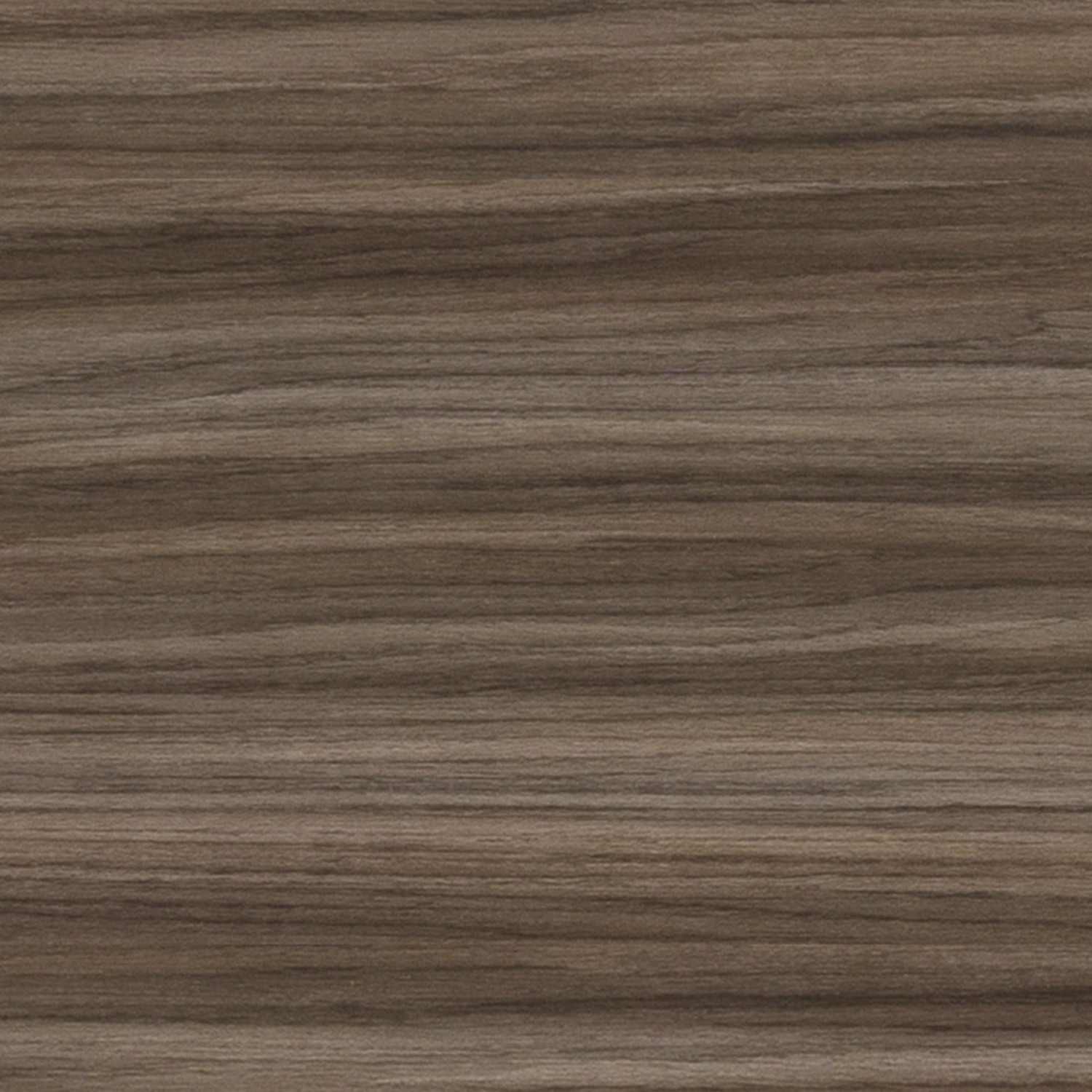 Zebra - Carob | TAJ Flooring